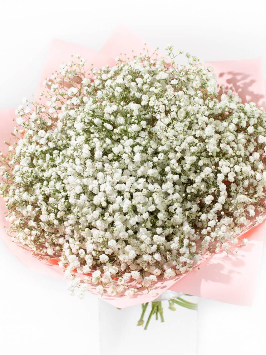 Gėlės internetu, pristatymas Vilniuje